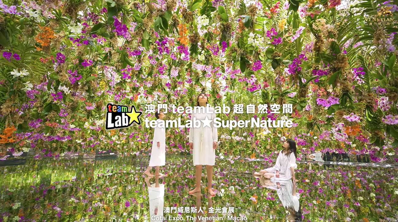 teamLab SuperNature Macao | Entertainment | Official Site of Sands ...
