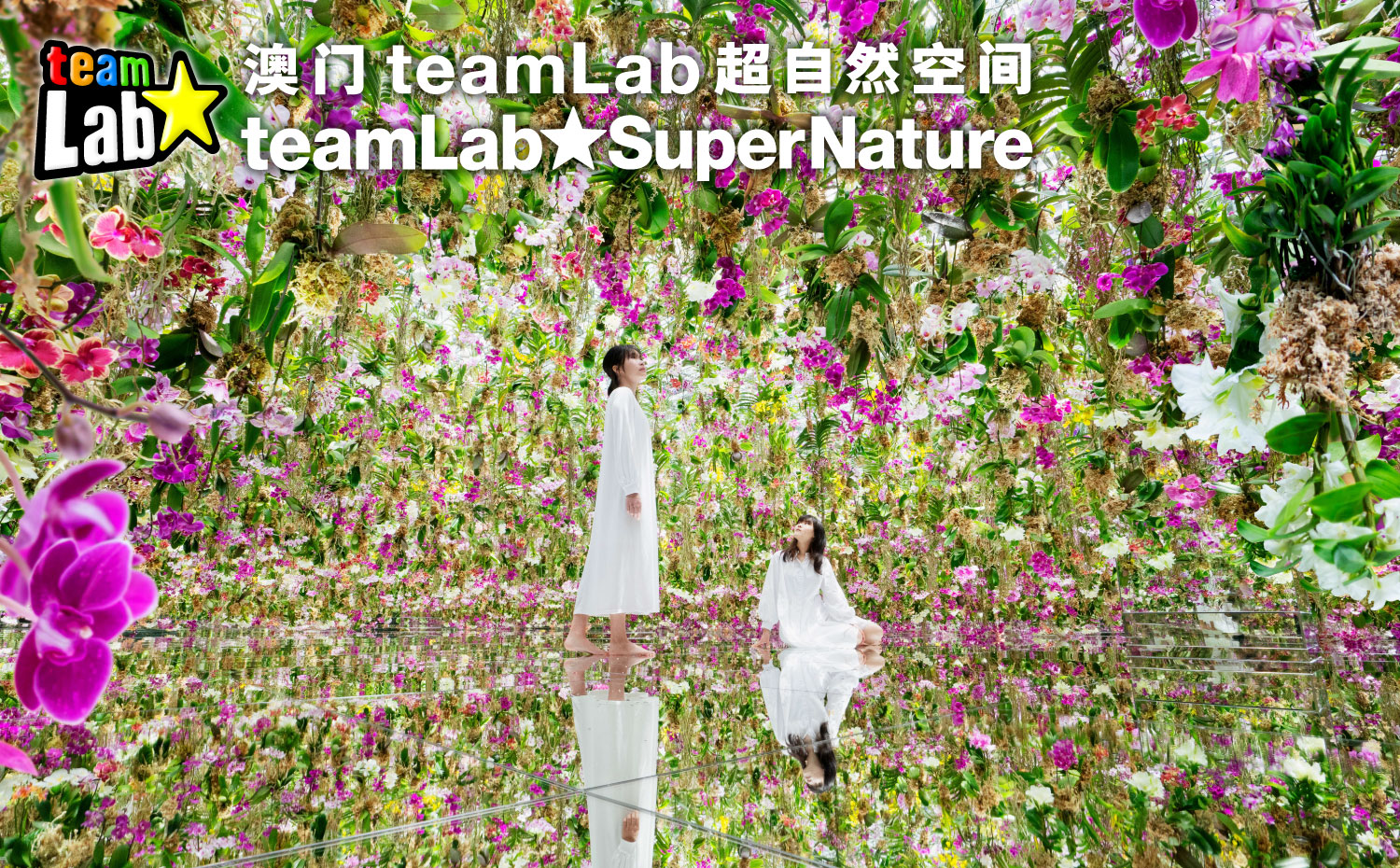 澳门威尼斯人酒店预订 | 威尼斯人官网 | 澳门威尼斯人度假村酒店官网